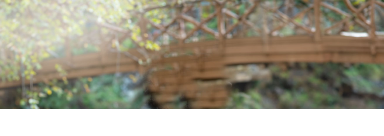 UK Home - JN Money Online - Send Money | Pay Bills