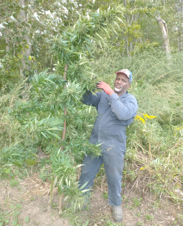 Farm Worker Feature – Lyndon Robinson - JN Money Online - Send Money ...